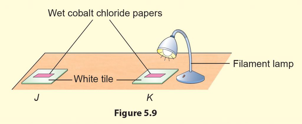 Experiment 5.1 - Science Form 2 Chapter 5 - Science Form 1, 2 & 3