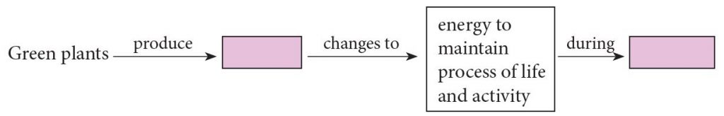 Formative Practice 2.2 - Science Form 1 Chapter 2 - Science Form 1, 2 & 3