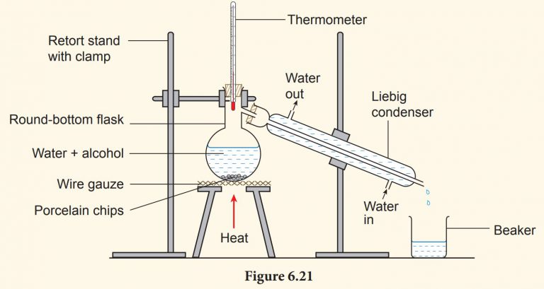 Activity 6.5 - Science Form 1 Chapter 6 - Science Form 1, 2 & 3