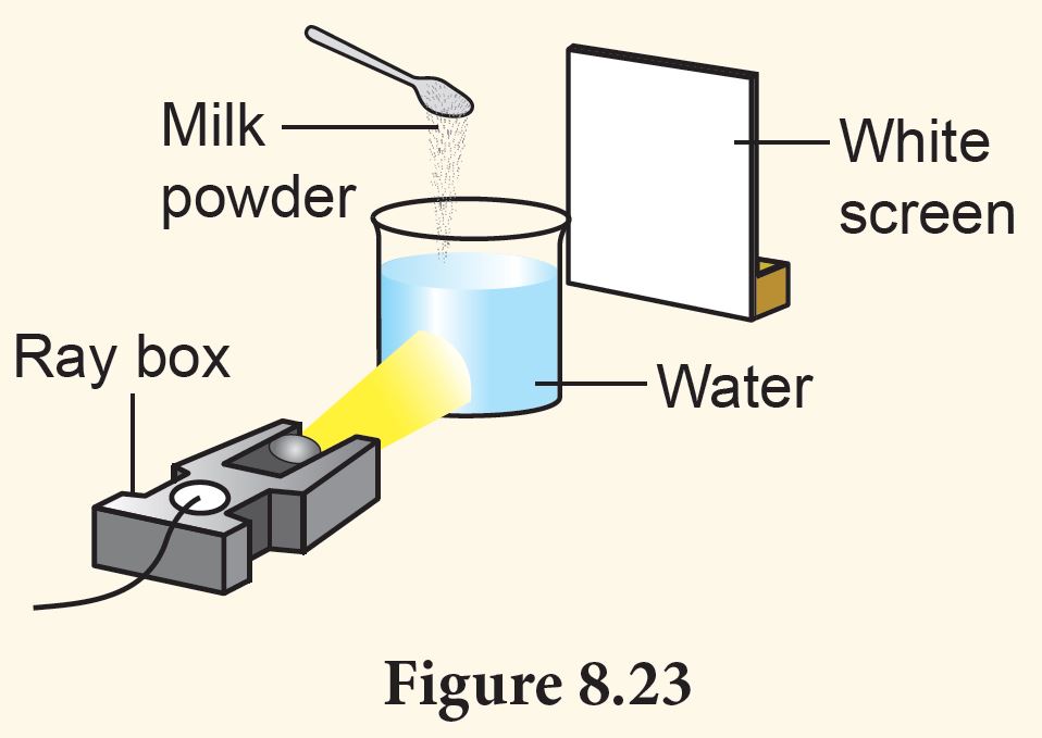 Activity 8.8 - Science Form 1 Chapter 8 - Science Form 1, 2 & 3