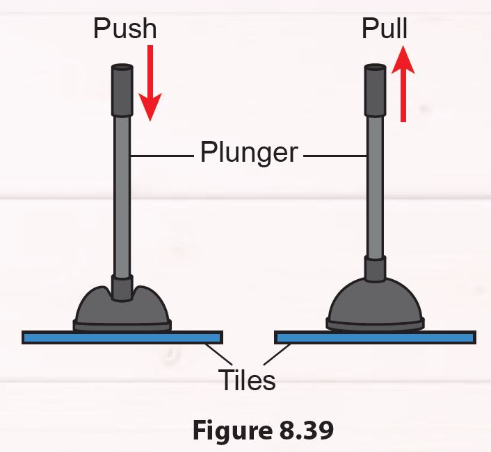 Activity 8.10 - Science Form 2 Chapter 8 - Science Form 1, 2 & 3