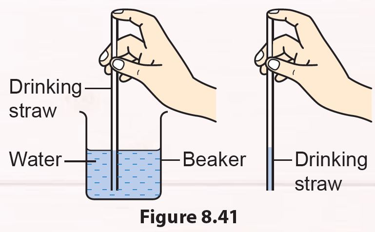 Activity 8.10 - Science Form 2 Chapter 8 - Science Form 1, 2 & 3