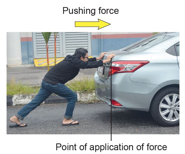 Formative Practice 8.1 - Science Form 2 Chapter 8 - Science Form 1, 2 & 3