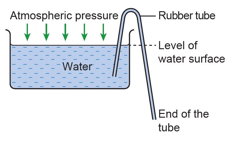 Activity 8.10 - Science Form 2 Chapter 8 - Science Form 1, 2 & 3